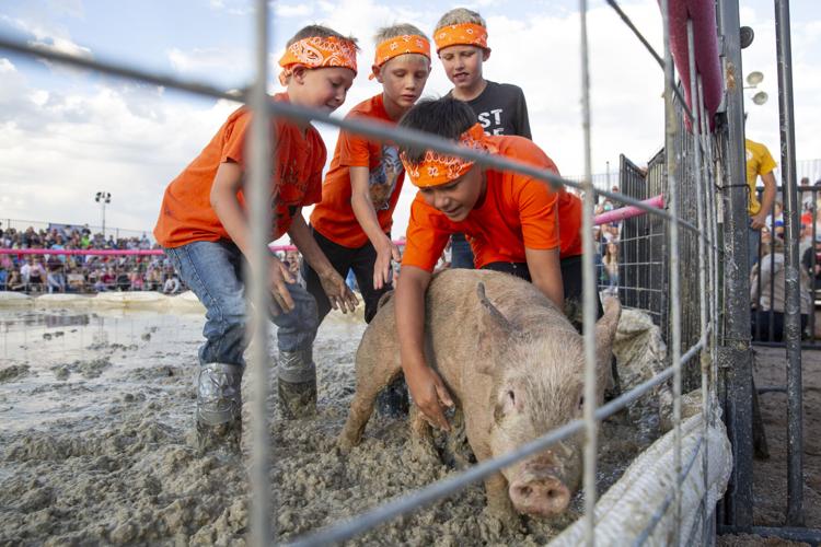 Pig Wrestling | Gallery | wyomingnews.com
