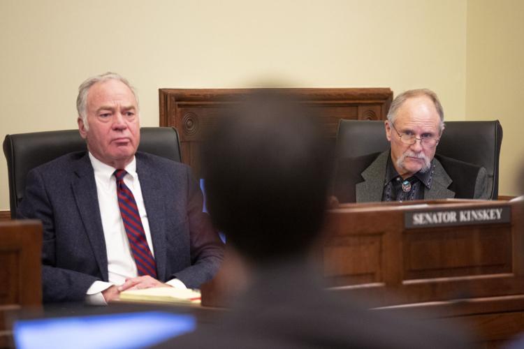 Wyoming Legislature kicks off supplemental budget discussions | Local ...