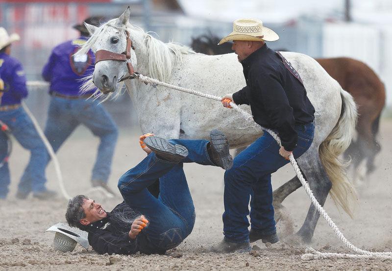 Wild horse race remains popular spectacle at Cheyenne Frontier Days ...
