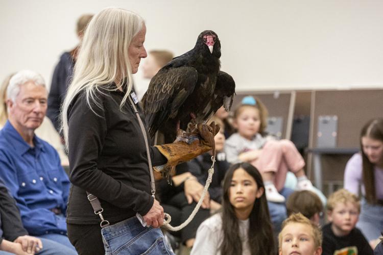 Raptor Tools with Rocky Mountain Raptor Program | Gallery | wyomingnews.com
