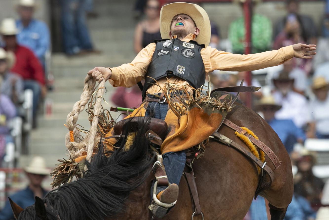 Bull rider Tristen Hutchings balanced pro, college success | Cfd ...