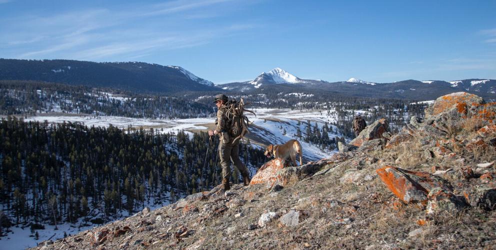 Hunting Wyoming antlers — for the last time | Local News | wyomingnews.com
