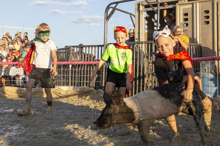 Pig Wrestling | Gallery | wyomingnews.com