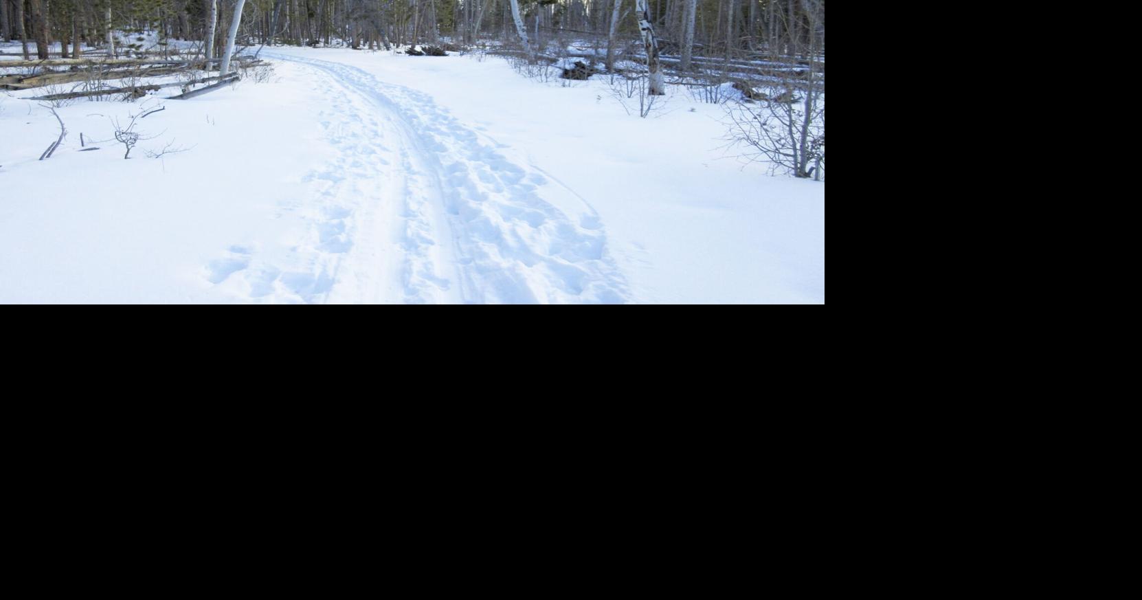 Nordic ski grooming underway at Chimney Park | News | wyomingnews.com
