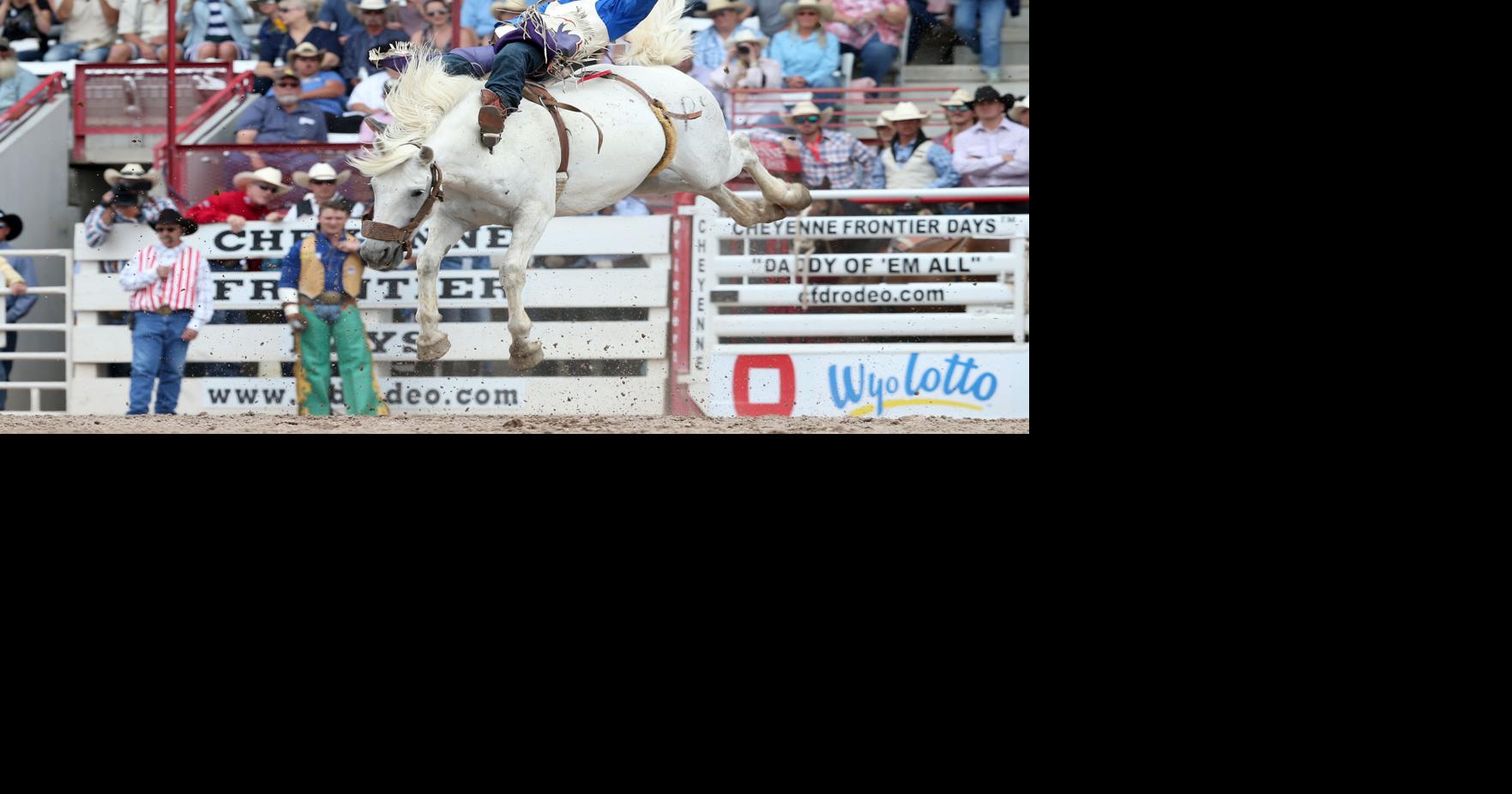 Buffalo bareback rider Cole Reiner caught on quickly | Rodeo ...