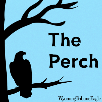 Episode 6 of 'The Perch' features primary election results, other news ...