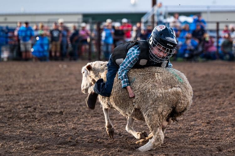 Born to bust: Kids get first rodeo experience through Laramie County ...
