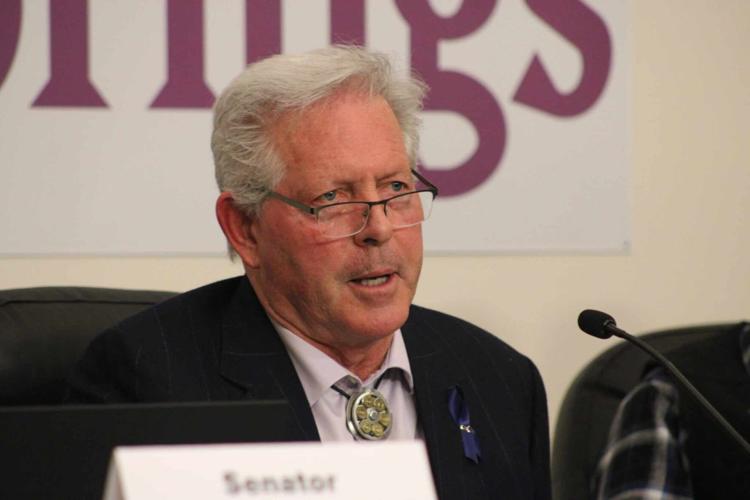 Lawmakers share the ups and downs of handling state's budget | Rocket ...