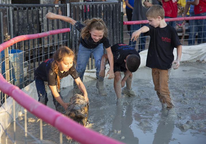 Laramie County Fair Pig Wrestling | Gallery | wyomingnews.com