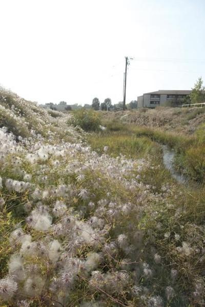 City Council won’t host next work session at 30th and Garfield site ...