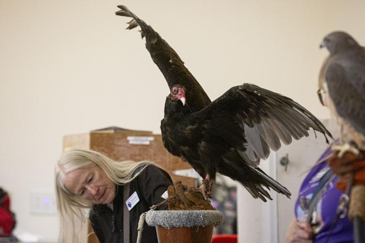 Raptor Tools with Rocky Mountain Raptor Program | Gallery | wyomingnews.com