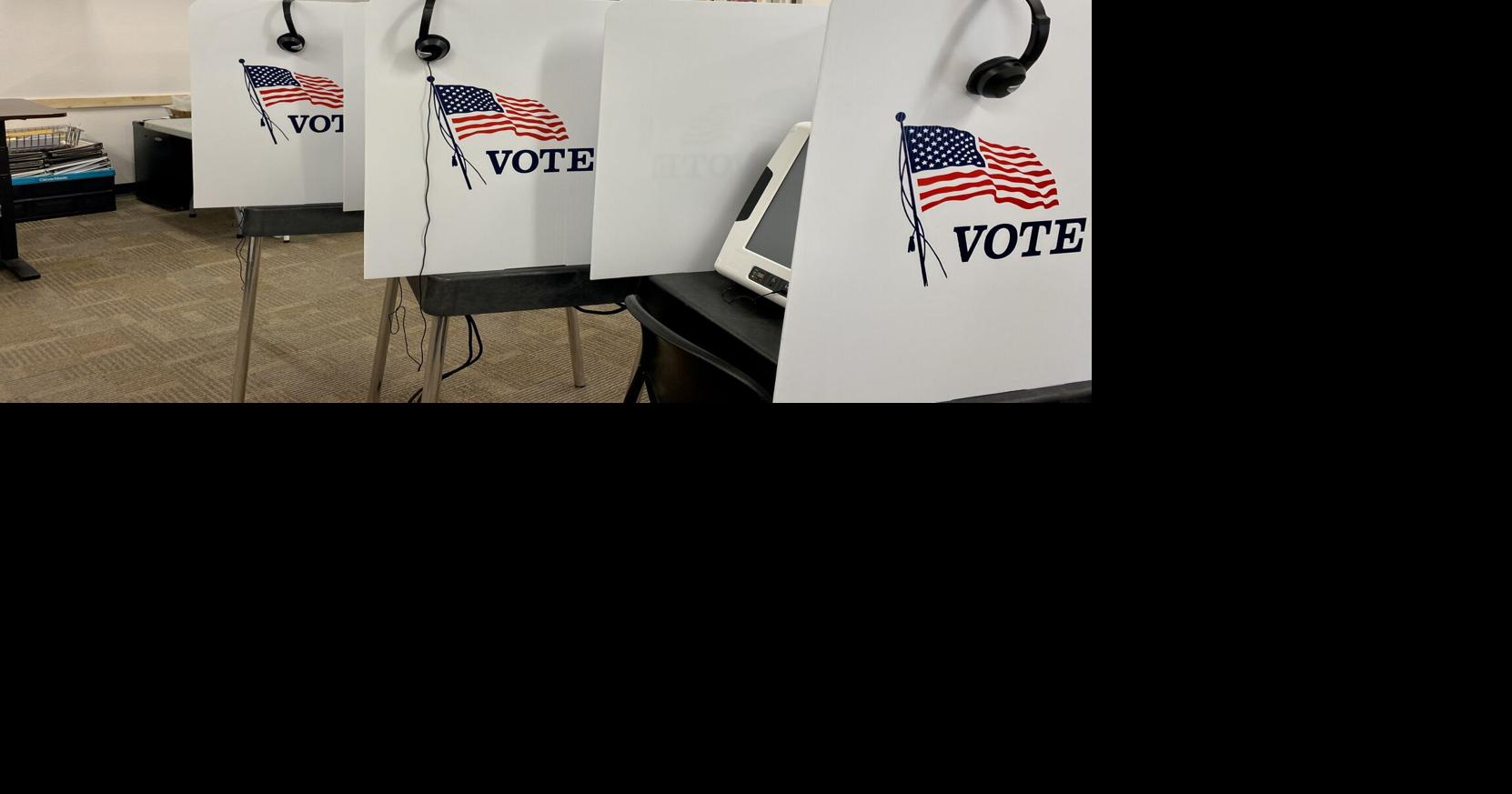 Three write-in candidates join general election ballot | News ...