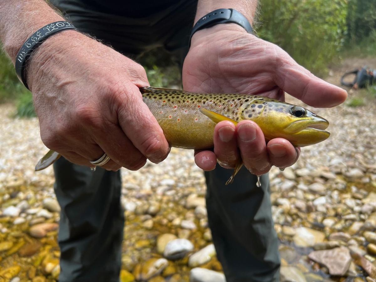Wyoming State Parks waives fees for Free Fishing Day June 6 | Local ...