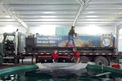 Wyoming Game and Fish Commission approves $21M fish hatchery expansion ...