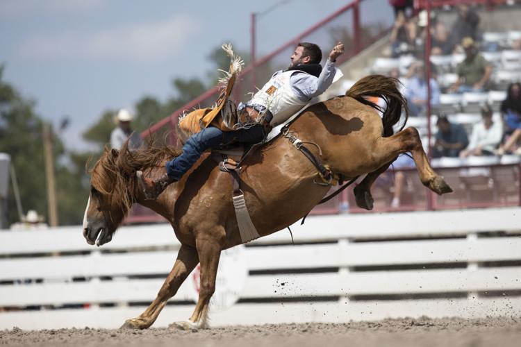 Cheyenne Frontier Days Rodeo, Day 5 | Gallery | wyomingnews.com