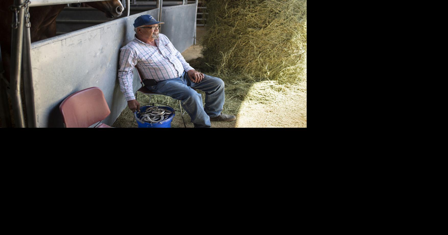 The backside culture behind a horse racing day | News | wyomingnews.com