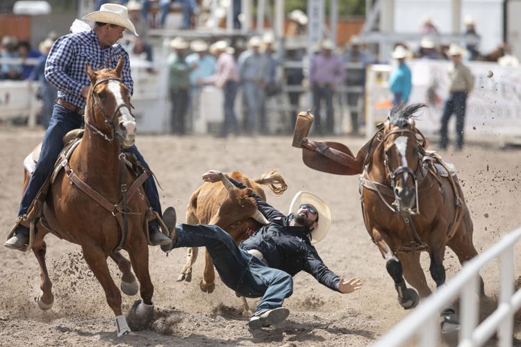 Slack steer wrestling and breakaway roping | Gallery | wyomingnews.com