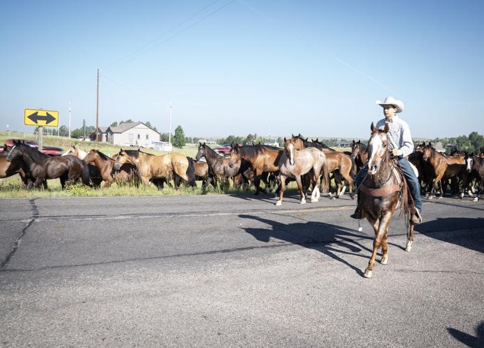 Bucking horse drive pulls attendees back in time – and on their heart strings | Economy & Labor ...