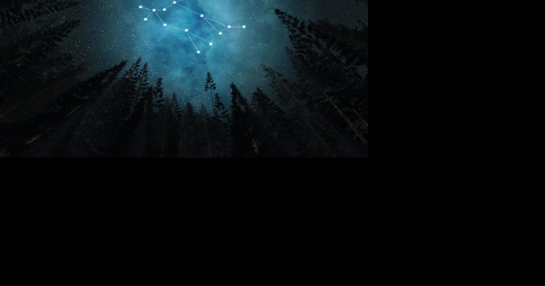 Learn about January night skies, constellations | Outdoors ...