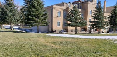 City Council waives fees so that developer has better chance at grants ...