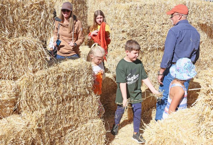 Autumn has arrived at annual Pumpkin Walk | News | wyomingnews.com