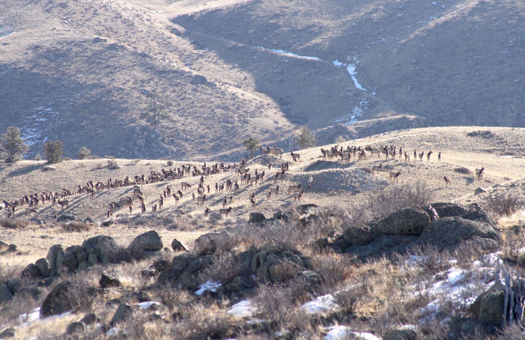 Wyoming Senate decisively shoots down two controversial ‘landowner ...