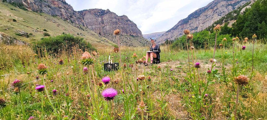Inaugural Wyoming State Parks' Artist in Residence program gives ...
