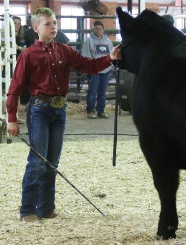 Gem City Showdown sets up 4-H, FFA competitors for success | News ...