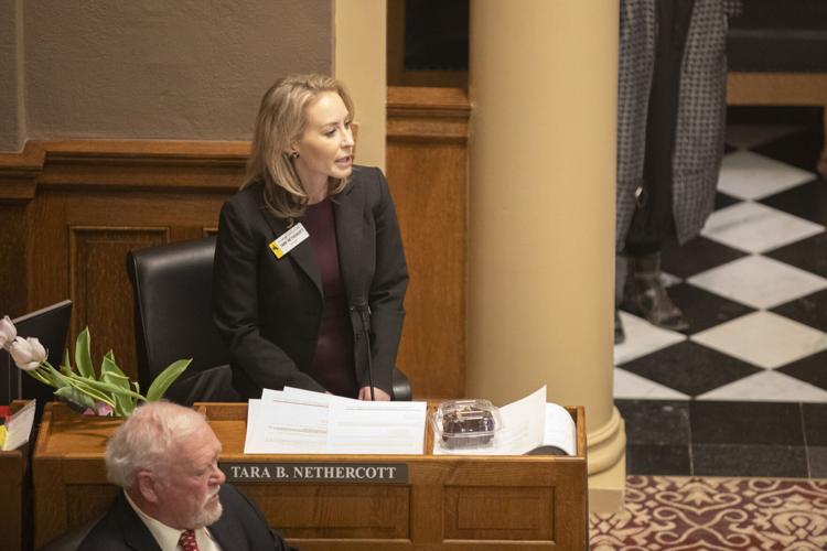 Kinskey replaces Nethercott as Senate Appropriations Committee chairman ...