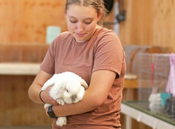 County fair furry cuteness | News | wyomingnews.com