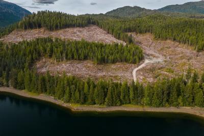 USDA Forest Service Moves to Open 1,600+ Acres of Alaska’s Tongass to ...