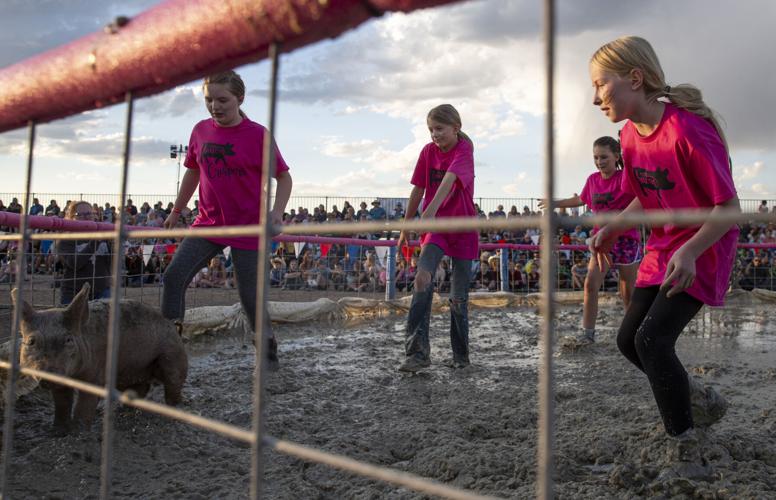 Pig Wrestling | Gallery | wyomingnews.com