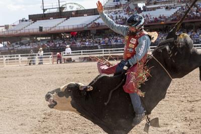 Roughstock re-rides prove key on day four of CFD | Cfd | wyomingnews.com