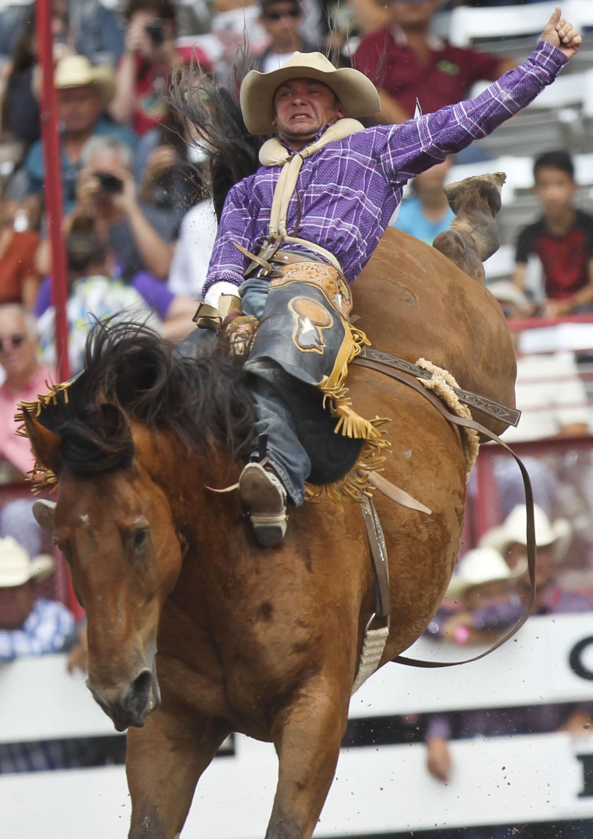 PHOTOS: 121st Cheyenne Frontier Days rodeo - Day 5 | Cfd | wyomingnews.com