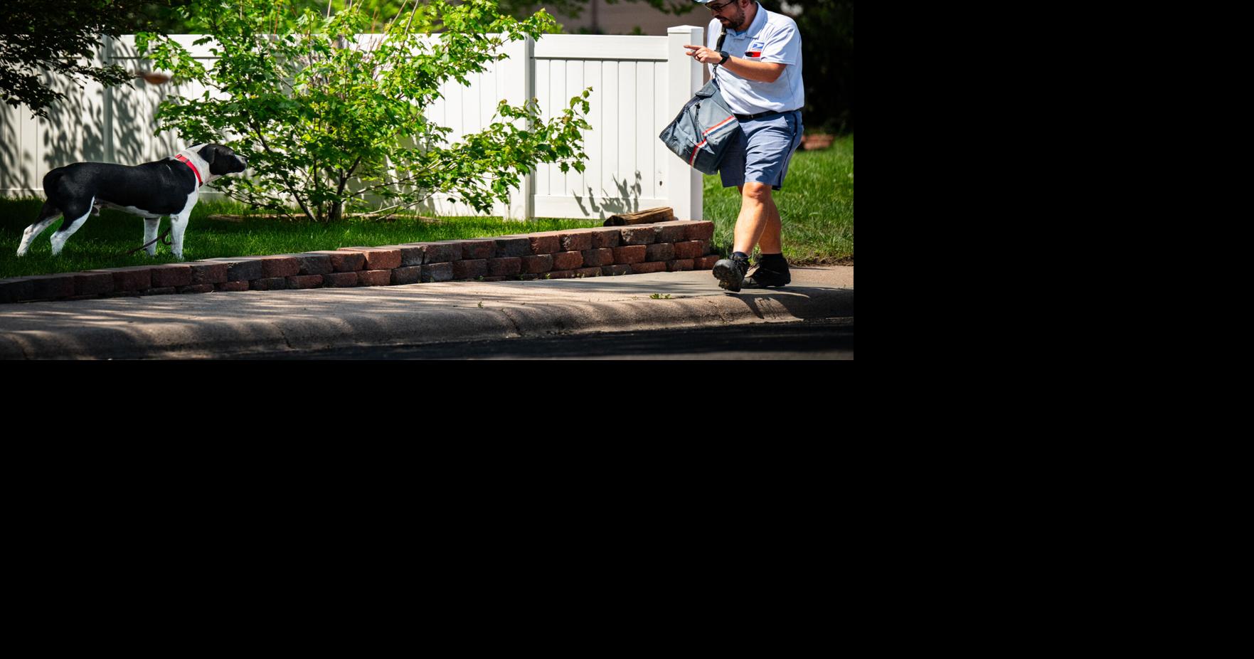USPS workers discuss safety initiatives, urge dog owners to prioritize ...