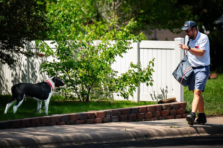 USPS workers discuss safety initiatives, urge dog owners to prioritize ...