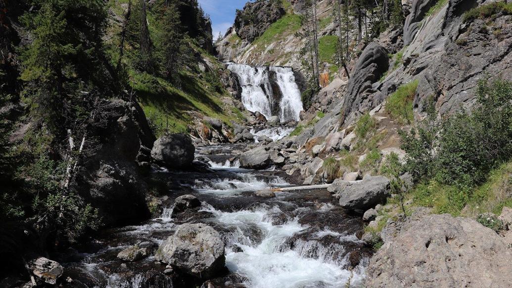 Yellowstone bear attack site was closed to spring hiking until 2024 to ...