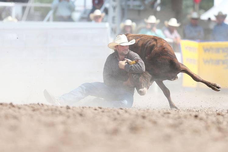 Blake Knowles helping next wave of steer wrestlers | Cfd | wyomingnews.com