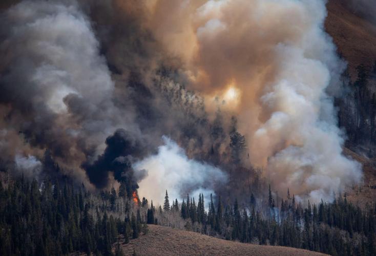 Pack Trail Fire spurs evacuations for Upper Gros Ventre, Darwin | Local ...