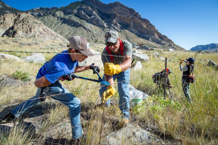 Volunteers attack unfriendly fences at Clarks Fork Canyon | Local News ...