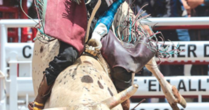 Wallace is more than just a rider | Rodeo | wyomingnews.com