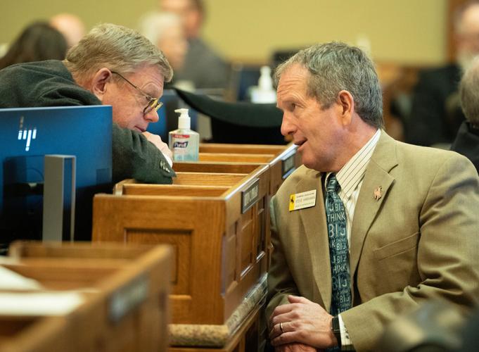 Medicaid postpartum extension bill moves forward before deadline | News ...