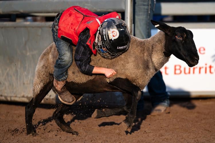 Born to bust: Kids get first rodeo experience through Laramie County ...