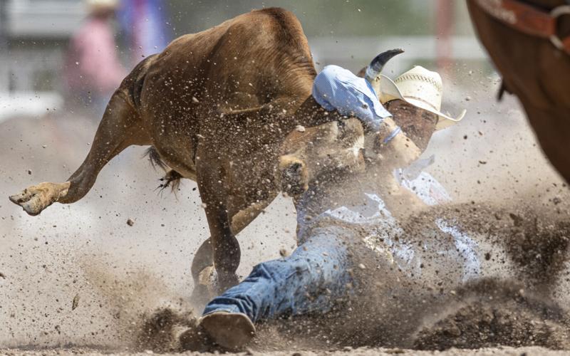 Smalygo clocks fastest time of CFD performances | Cfd | wyomingnews.com