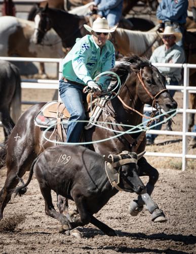 Team ropers qualify for spots at Cheyenne Frontier Days | Cfd ...