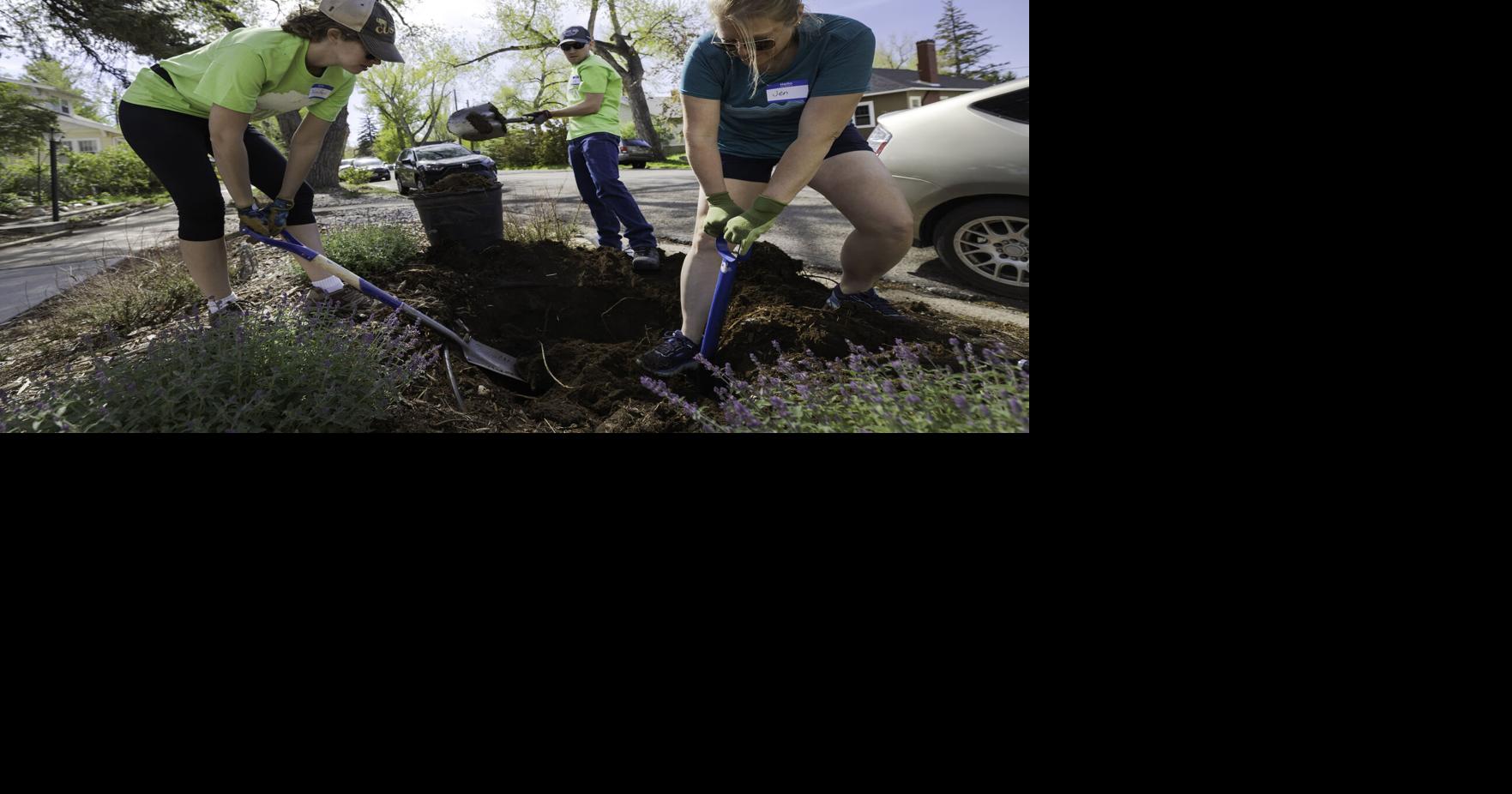 Rooted in the community: Local nonprofit requests volunteers for its ...