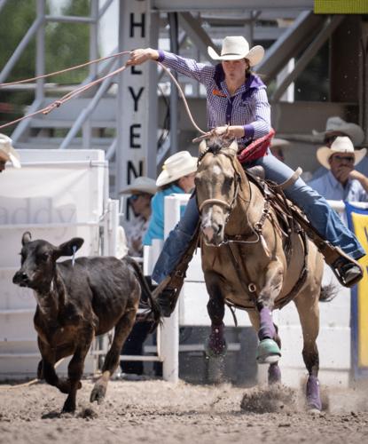 Saddle bronc rider Coleman Shallbetter notches first 90-point ride of ...