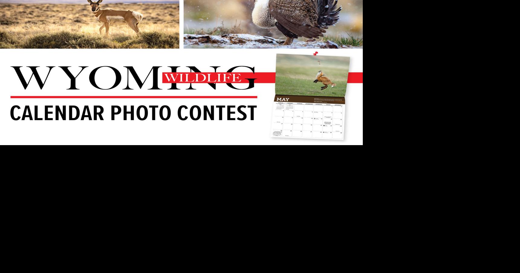 Wyoming Wildlife calendar photo contest open | Local | wyomingnews.com