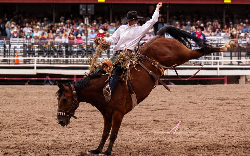 Wacey Schalla posts highest score in bull riding to advance to finals ...