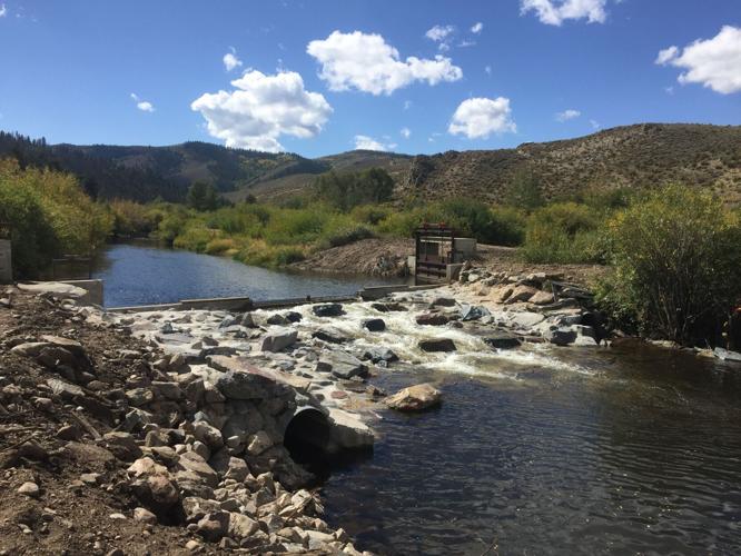 Dowlin Diversion replacement favors fish passage | News | wyomingnews.com